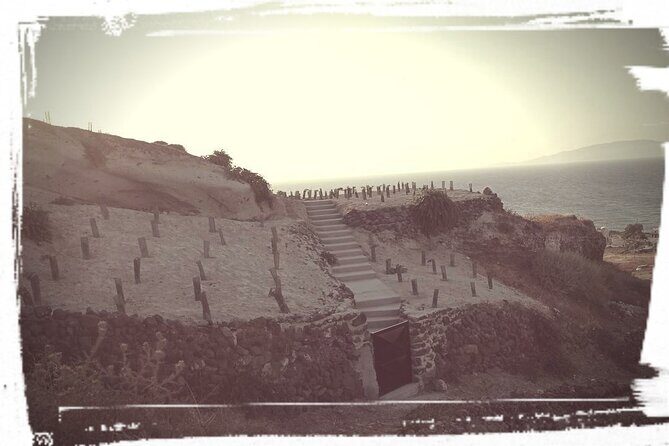 Private Olive Oil tasting & Liqueur experience - Practical Considerations and Value