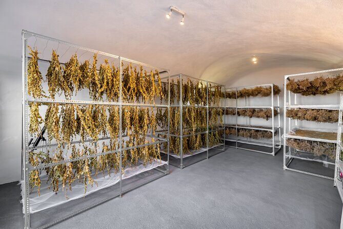 Private Olive Oil tasting & Liqueur experience - Frequently Asked Questions