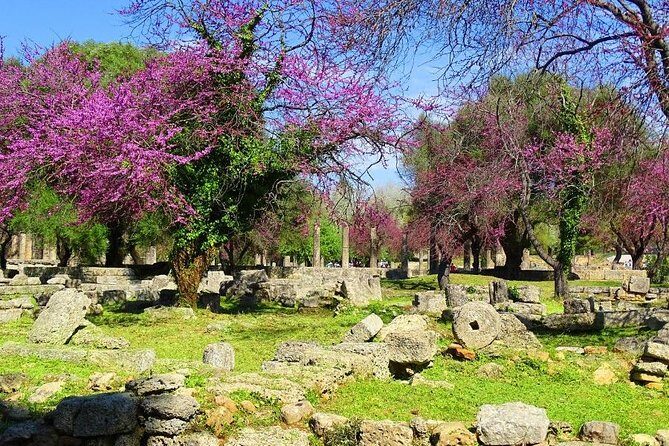 Private Olympia tour (4.5 hours) - The Itinerary in Detail: What You Can Expect