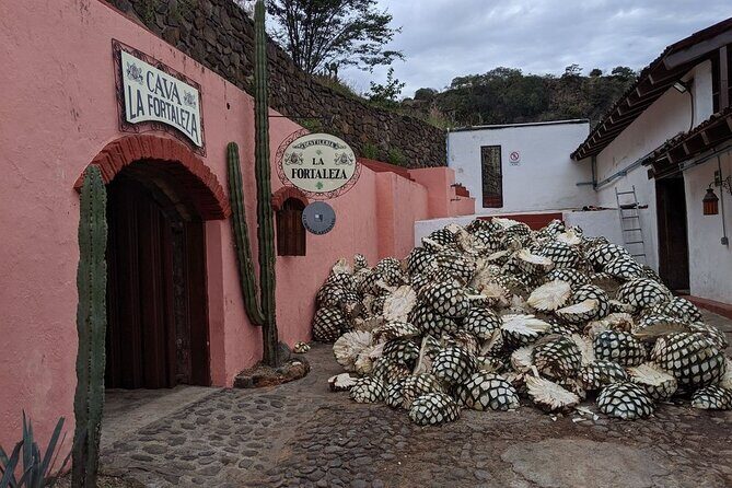 Private One Day Adventure Tour in Tequila and La Fortaleza Distillery - Who Will Love This Tour?  