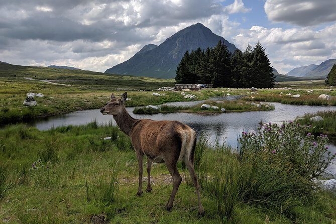 Private One Day Highlands Tour of Scotland - Who Should Consider This Tour?