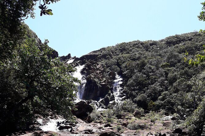 Private One Day Tour through The Deep South - Key Points