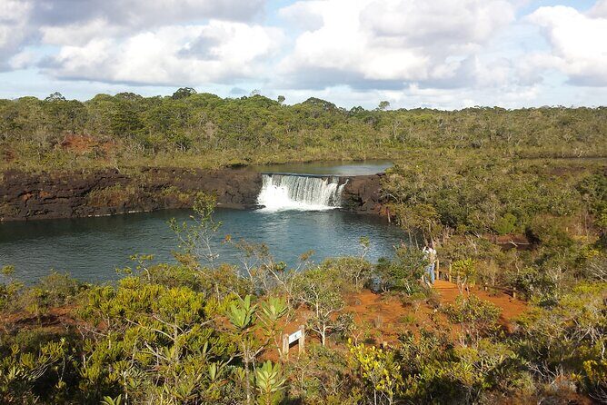 Private One Day Tour through The Deep South - What the Reviews Say