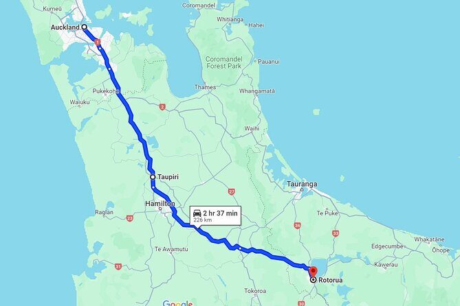 Private One-Way Transfer: Auckland CBD Hotel to Auckland Airport - Who Is This Transfer Service Best For?