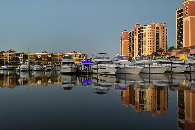 Private ONLY Dolphin Boat Tours - Key Points