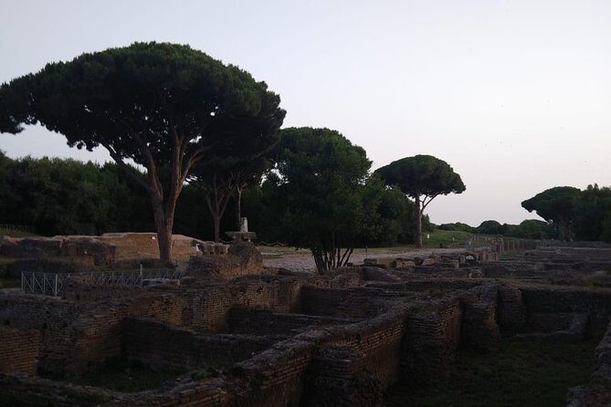 Private Ostia Antica Adventure tour from Rome - What Reviewers Say