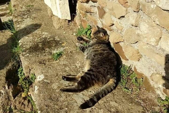 Private Ostia Antica Adventure tour from Rome - FAQs