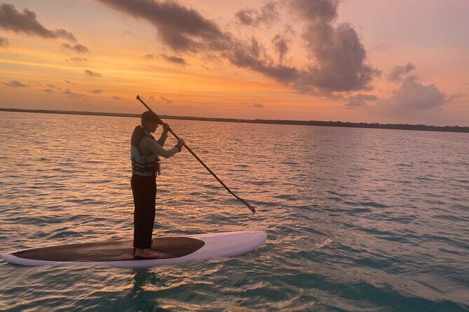Private Paddleboard Experience in Bacalar - Logistics and Practicalities
