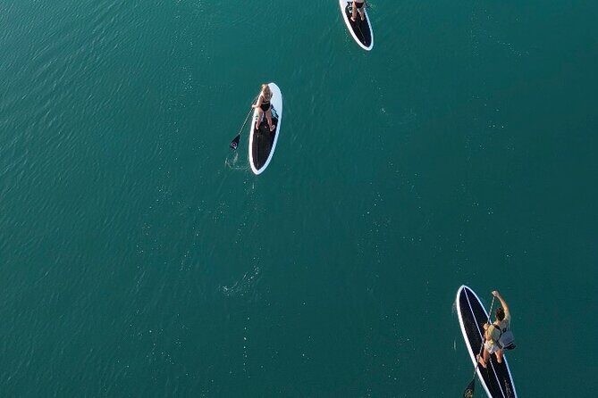 Private Paddleboard Experience in Bacalar - Who Might Want to Consider Other Options?