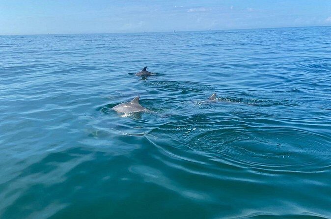 Private Panama City Beach Sunset Tour - An In-Depth Look at the Tour