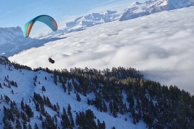 Private Paragliding Tandem flight Dolomites Alps Kronplatz - Key Points