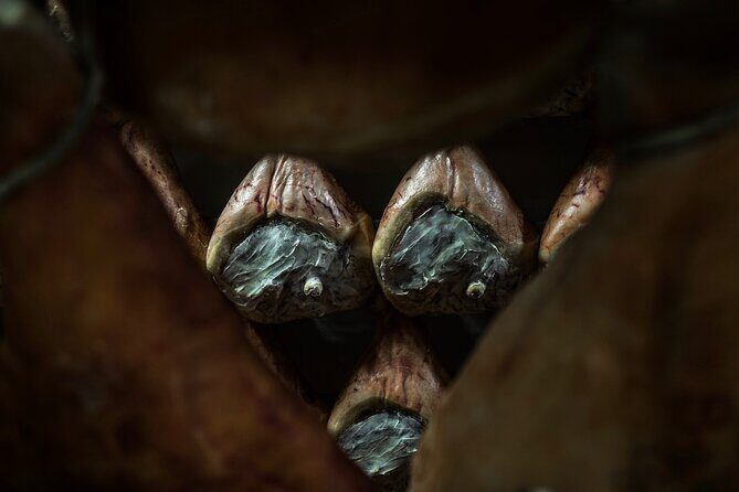 Private Parmigiano Balsamic Parma Ham and Wine Tasting Tour - A Deep Dive into the Itinerary