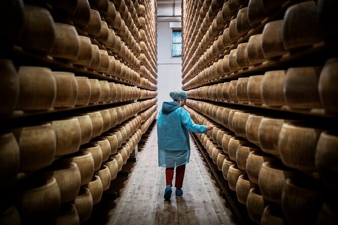 Private Parmigiano Balsamic Parma Ham and Wine Tasting Tour - Practicalities and What to Expect