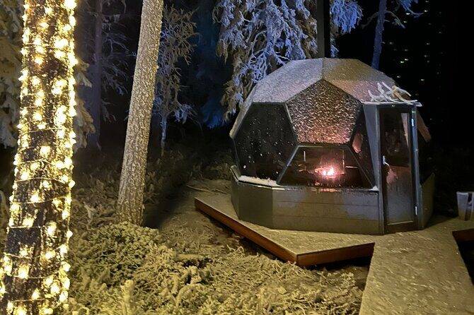 PRIVATE Party dinner in a Glass Igloo Under Northern Lights - Who Should Consider This Tour?