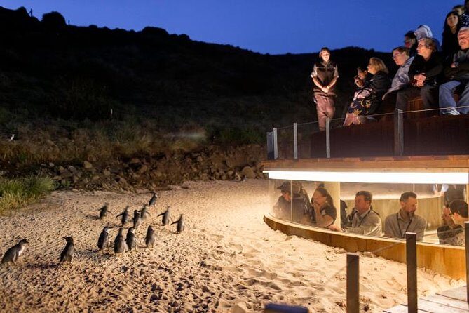 Private Phillip Island Day Trip from Melbourne Including Penguin Parade Premium Viewing - What to Expect from Your Phillip Island Day Trip