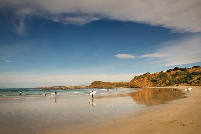 Private Phillip Island Penguin Parade Tour - Practical Details and Traveler Tips