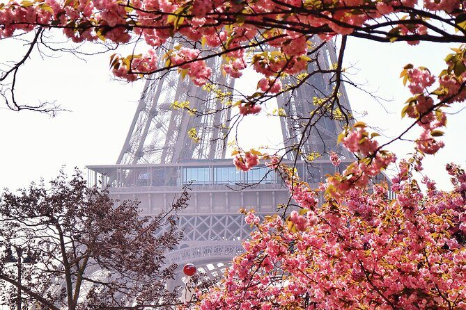 Private Photo Tour in Paris with a Professional Photographer - What to Expect from Your Experience