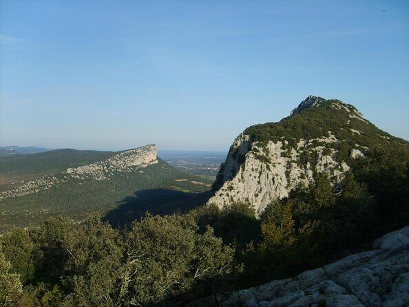 Private Pic Saint Loup Wine and Olive Tour from Montpellier - Key Points
