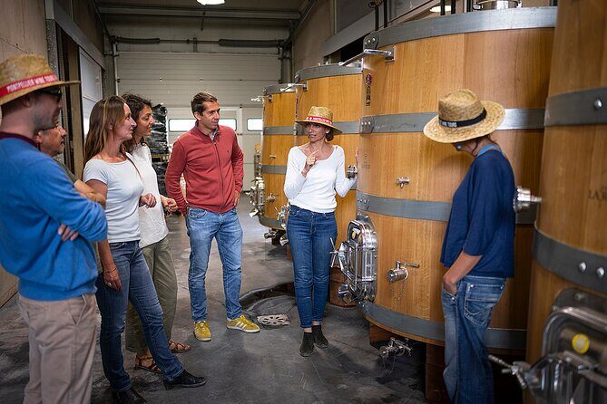 Private Pic Saint Loup Wine and Olive Tour from Montpellier - The Itinerary in Detail