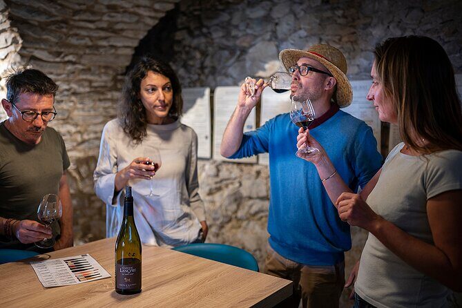 Private Pic Saint Loup Wine and Olive Tour from Montpellier - Final thoughts