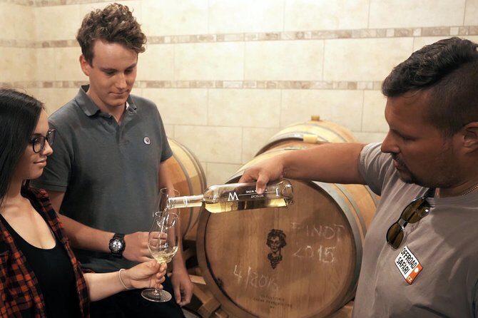 Private PICNIC in Bohemian Vineyards and Wine Tasting 4WD Tour - The Sum Up: Who Should Book This Tour?