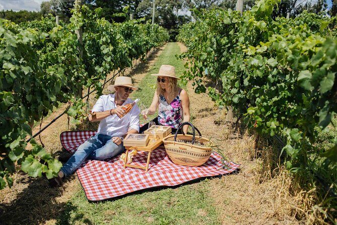 Private Picnic Lunch Experience in Orange with Wine - Frequently Asked Questions