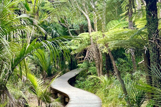 Private Piha Beach, Rainforest Adventure & Mt. Eden with Guide - What Travelers Say: Authentic Insights