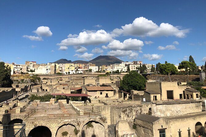 Private Pompeii and Herculaneum with Wine Tasting - Full Tickets - Pricing and Value