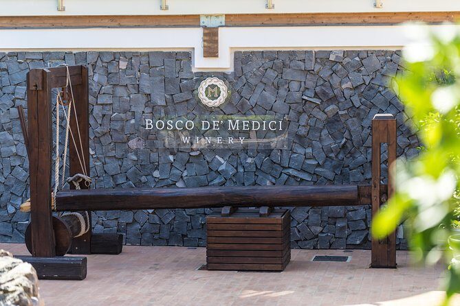 Private Pompeii Tour with Organic Wine Tasting & Lunch - A Closer Look at the Tour Itinerary