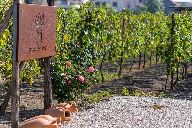 Private Pompeii Tour with Organic Wine Tasting & Lunch - Practical Considerations