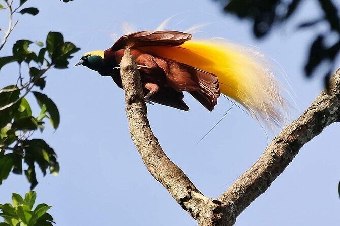 Private Port Moresby City Tour - Practical Details and Considerations