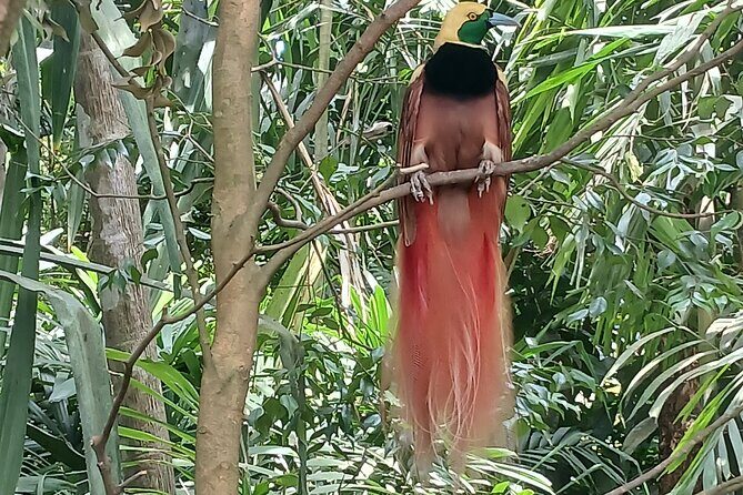 Private Port Moresby City Tour - Frequently Asked Questions