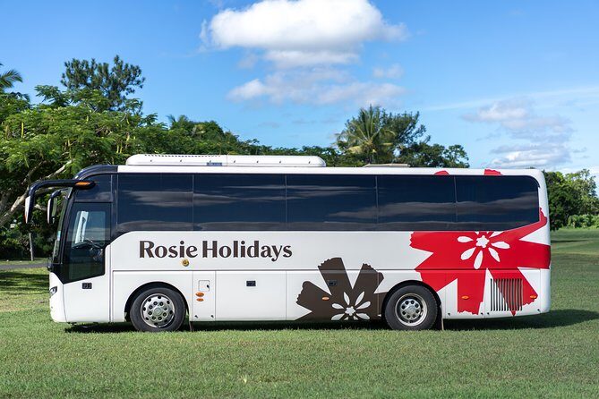 Private Premium Departure Transfer : Hotel to Nadi Airport - Who Is This Transfer Best For?