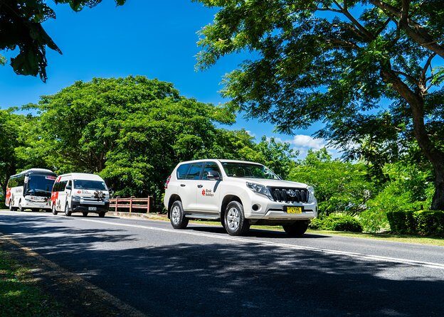 Private Premium Departure Transfer : Hotel to Nadi Airport - In-Depth Look at the Experience