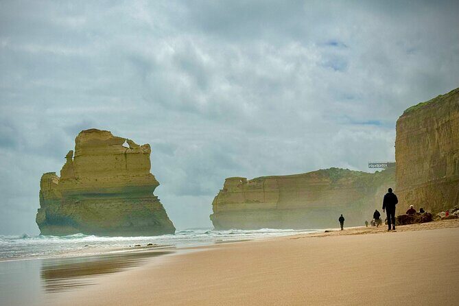 Private Premium Great Ocean Road with Lunch & Wildlife spotting - Detailed Breakdown of the Tour Experience