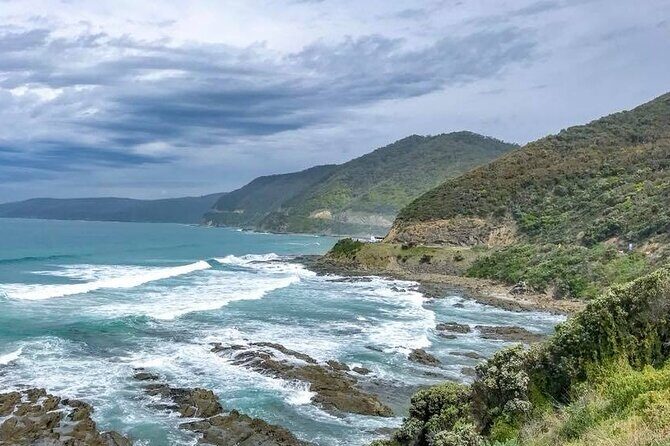 Private Premium Great Ocean Road with Lunch & Wildlife spotting - Frequently Asked Questions