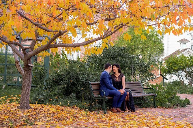 Private Professional Holiday Photoshoot in Hershey - Key Points