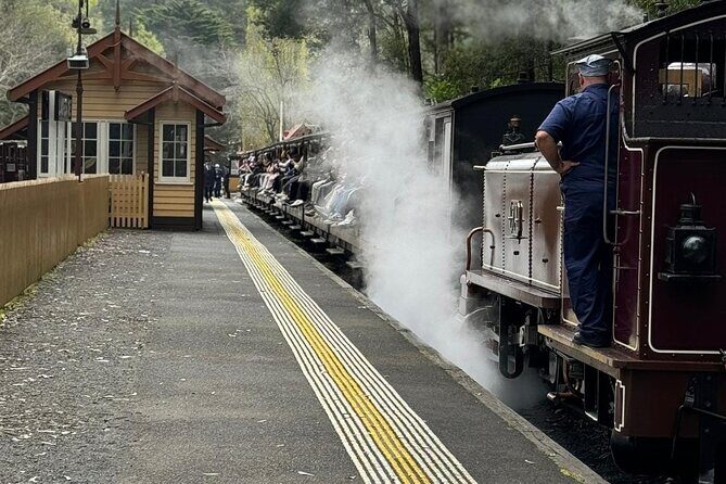 Private Puffing Billy Steam Train and Healesville Sanctuary Tours - Key Points