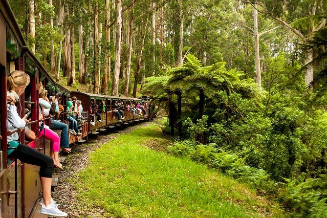 Private Puffing Billy Steam Train and Healesville Sanctuary Tours - Journey Through the Dandenong Ranges: What the Tour Offers