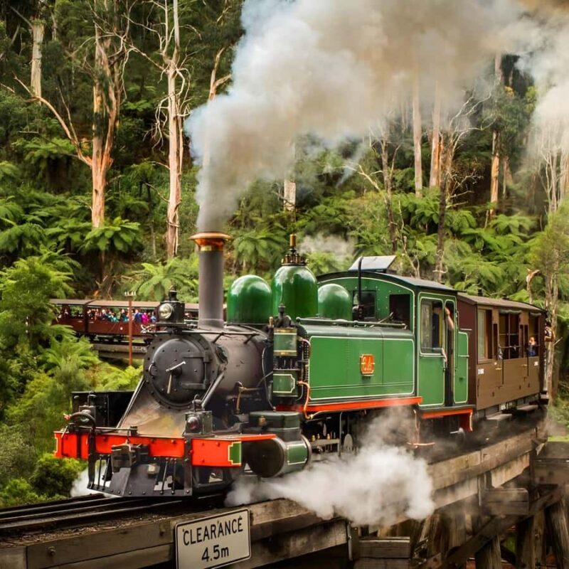 Private Puffing Billy Train & Healesville Sanctuary Tours - Key Points