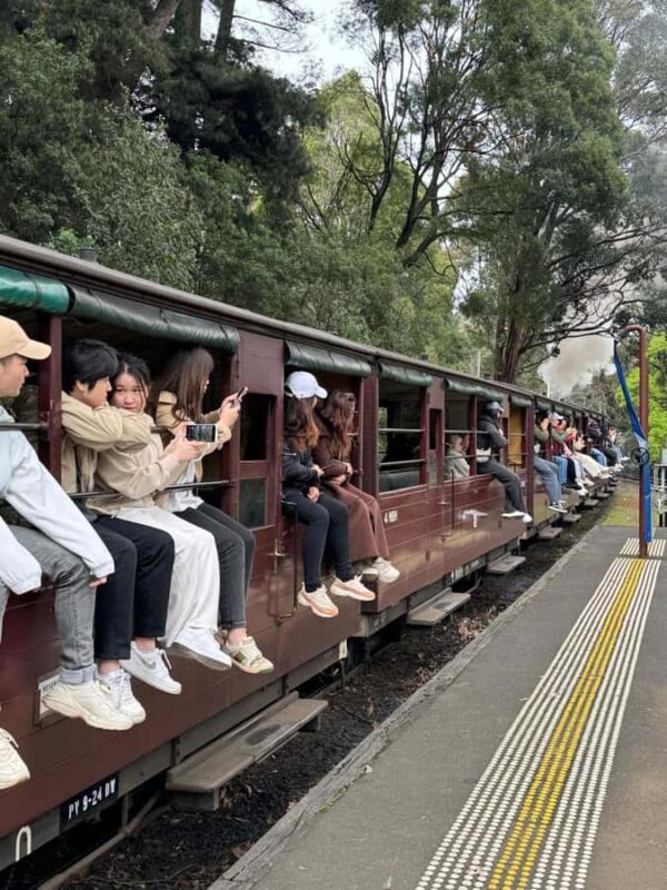 Private Puffing Billy Train & Healesville Sanctuary Tours - Exploring the Itinerary in Detail