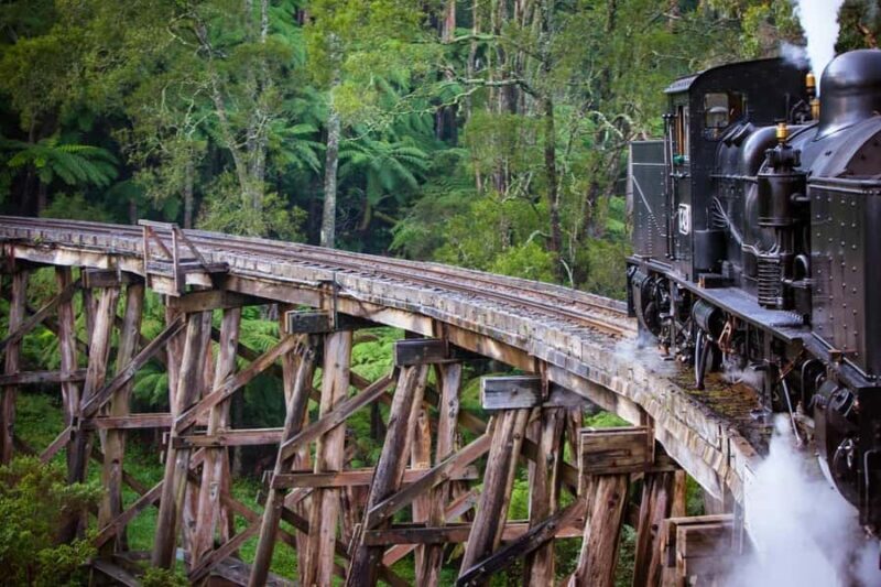 Private Puffing Billy Train & Healesville Sanctuary Tours - The Sum Up