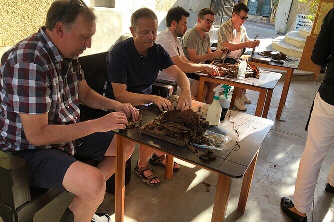 Private Puro Cigar Creation Workshop in Los Cabos - Final Thoughts