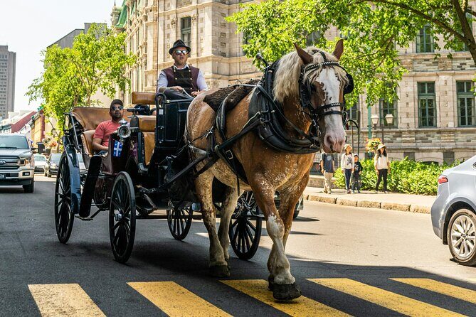 Private Québec City Highlights 3 Hour Walking Tour - In-Depth Look at the Itinerary