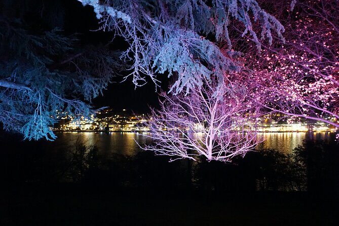 Private Queenstown by Night Skyline and Lakeside Tour - Frequently Asked Questions