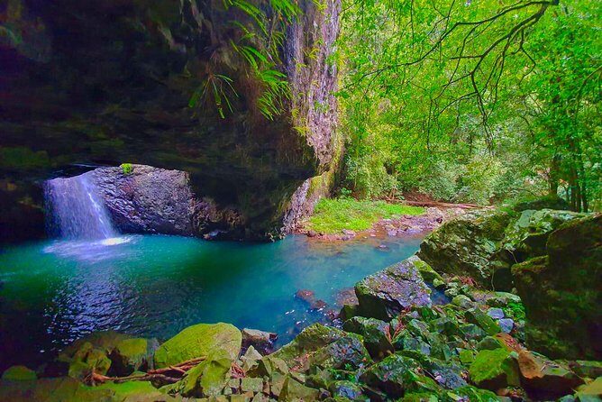 Private Rainforest & Wildlife Tour - Build Your Own Experience - Frequently Asked Questions (FAQs)