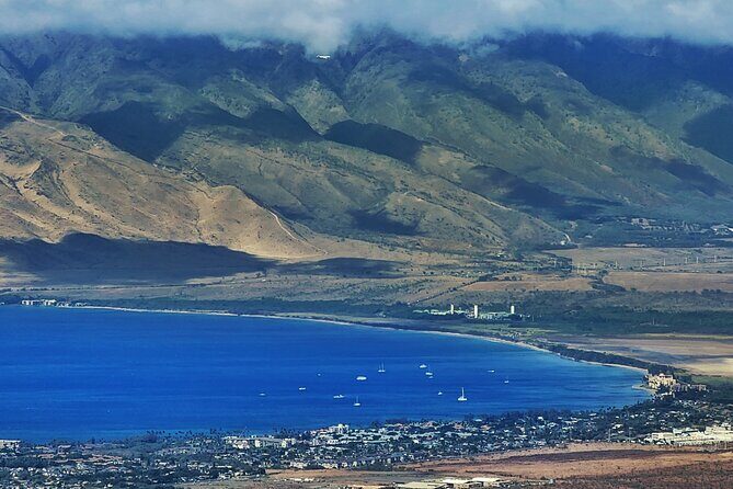 Private Redwood Forest Hiking Tour - Key Points  