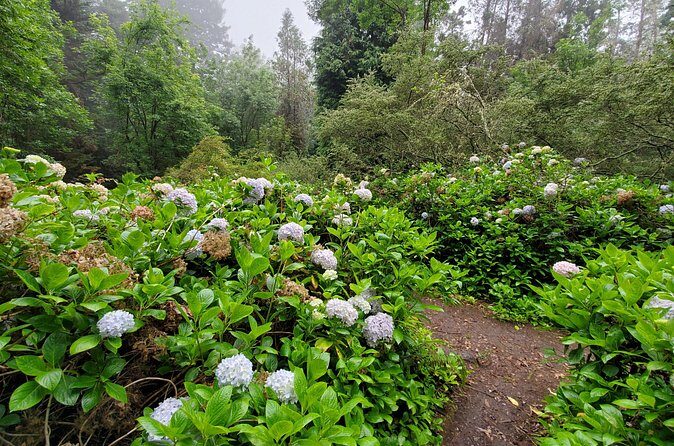Private Redwood Forest Hiking Tour - FAQs
