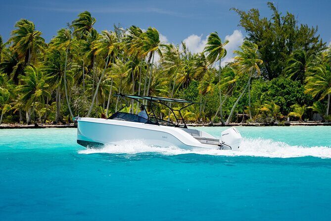 Private Reef Discovery Luxury Motu Lunch Cruise in Bora Bora - Introduction