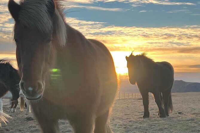 Private Reykjanes Peninsula Guided Tour - Discovering Iceland’s Volcanic Heart